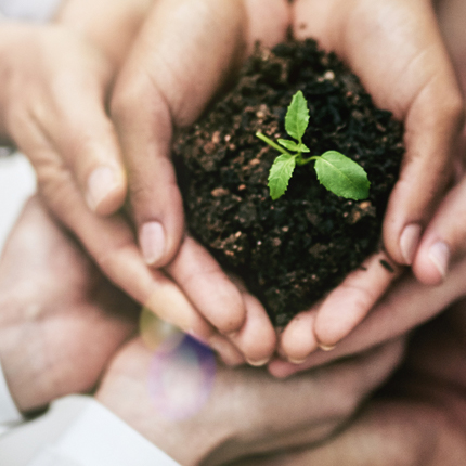 We have independent product design and developt capabilities ...